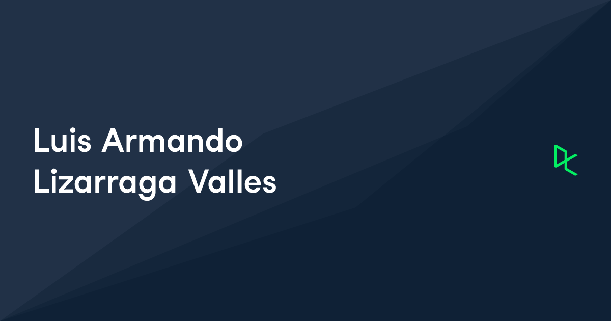 Luis Armando Lizarraga Valles - Developer