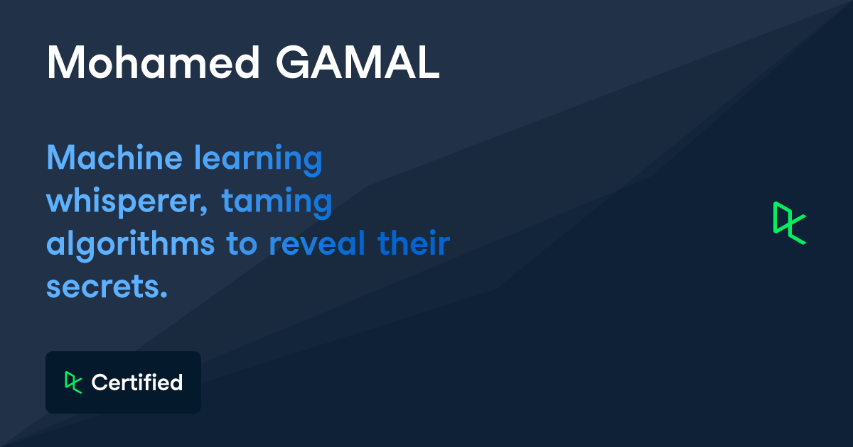 Mohamed GAMAL - Master Student