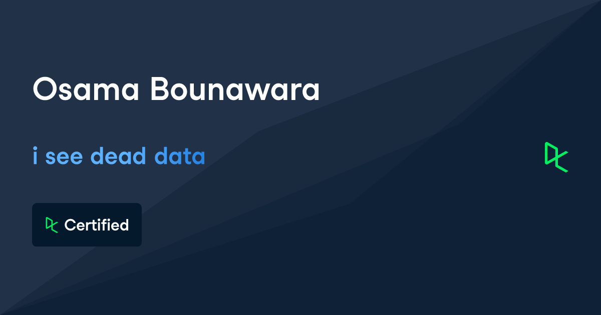 Osama Bounawara - Data Analyst