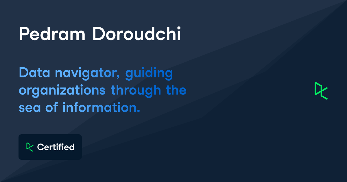 Pedram Doroudchi - Biostatistician 2